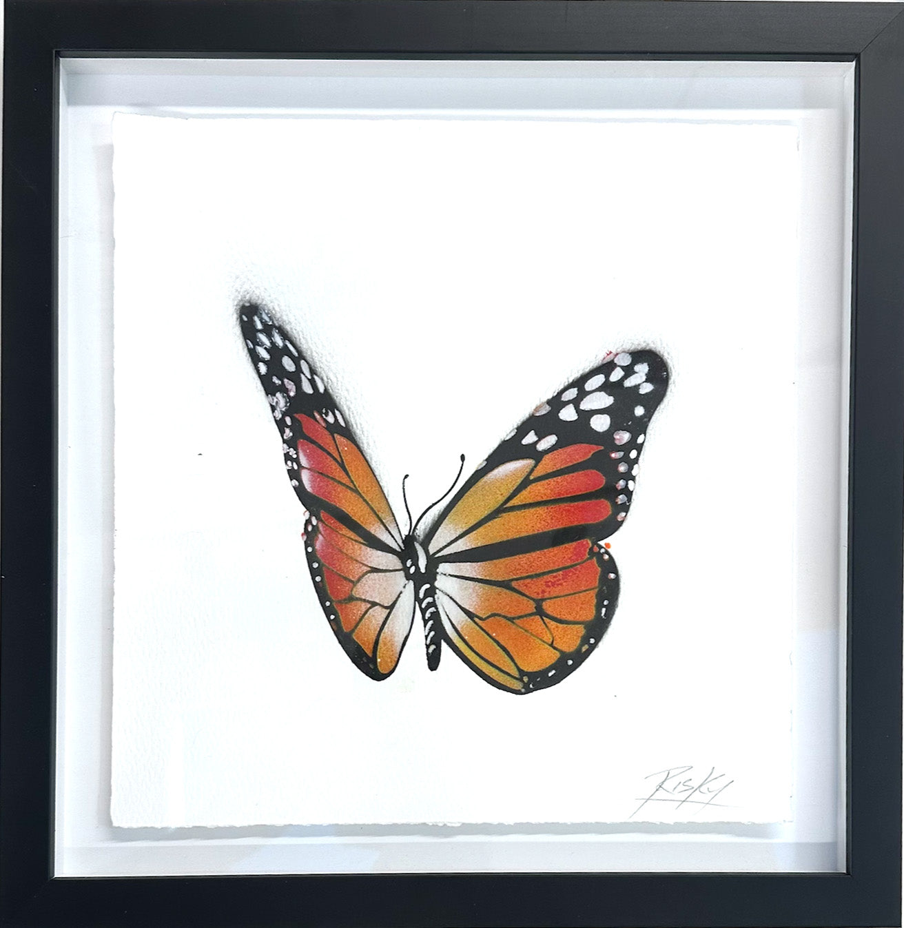 OG BUTTERFLY – Compound Editions