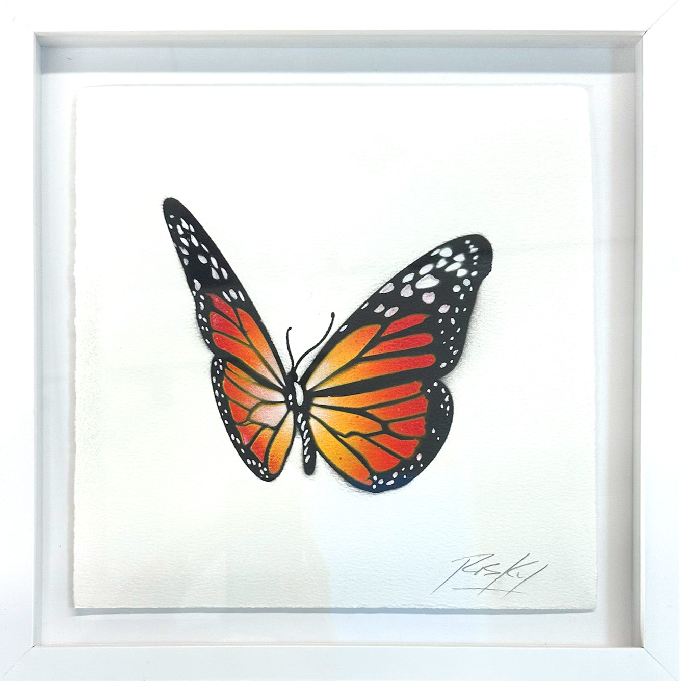 OG BUTTERFLY – Compound Editions